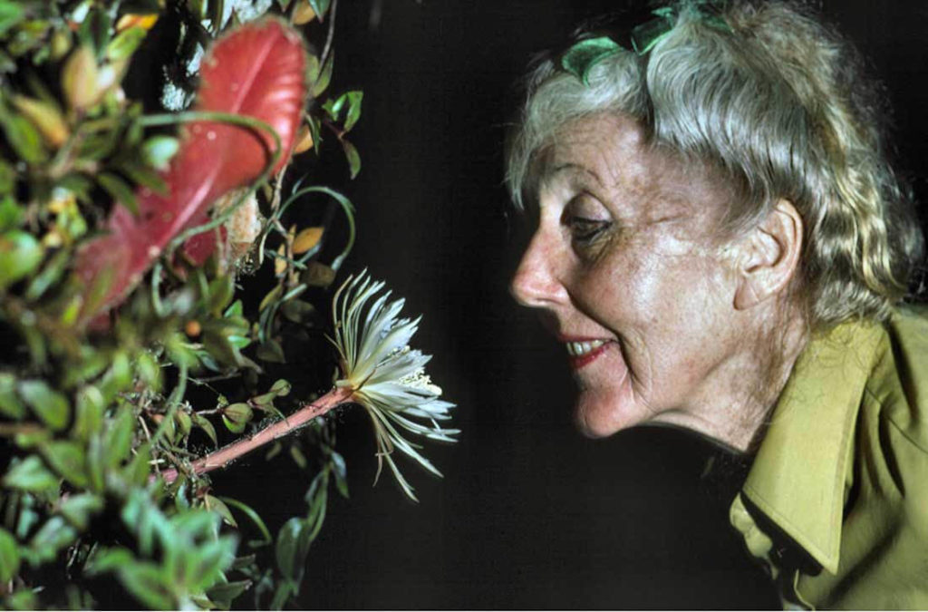 Amazonie : sur les traces de l’exploratrice et illustratrice botanique ...